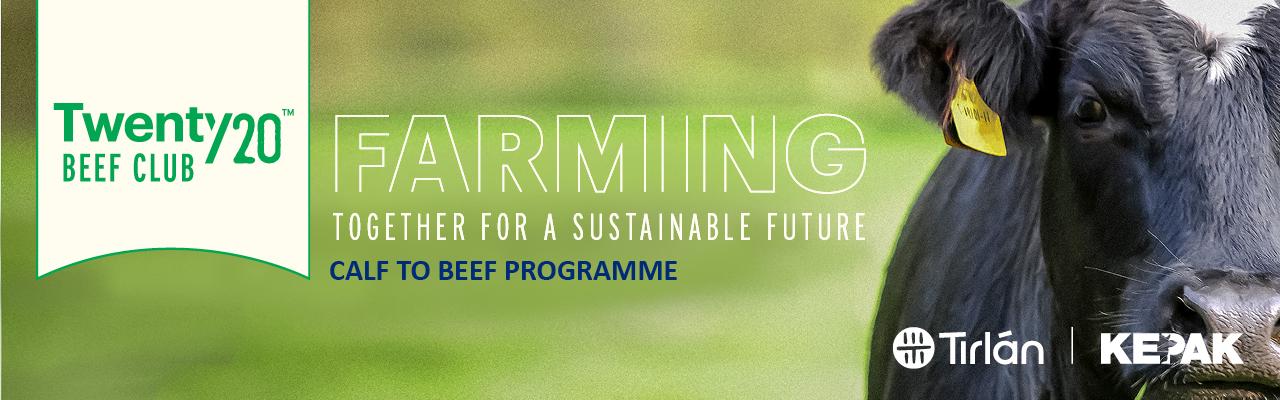 Award-winning Twenty20 Beef Club enhances pricing structure | Tirlán
