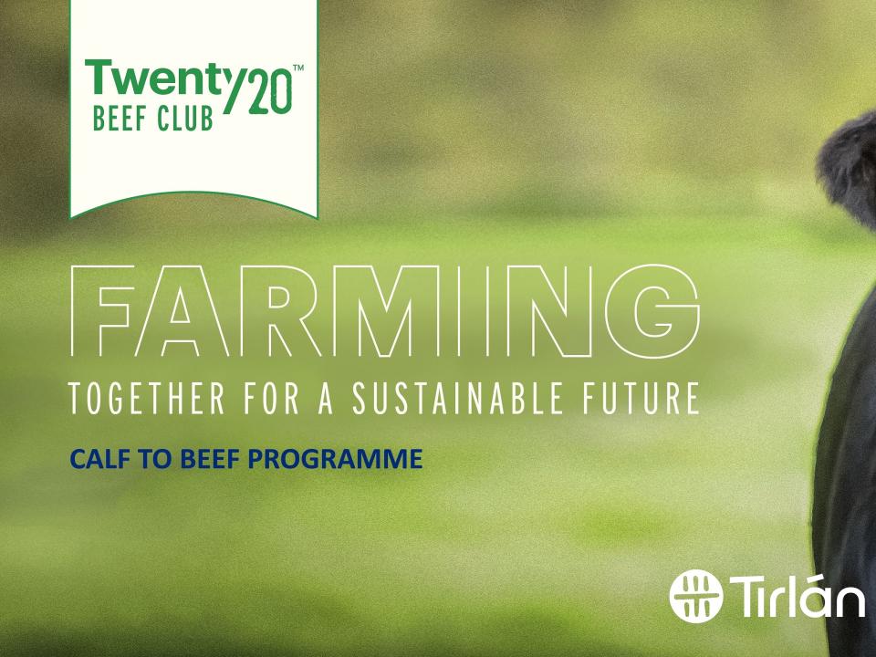 Award-winning Twenty20 Beef Club enhances pricing structure | Tirlán